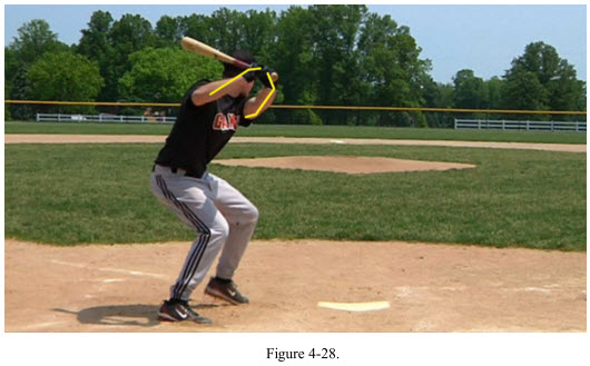 Baseball Swing Anatomy Shoulders Muscles Push And Pull To Swing The Bat