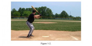 The Baseball Stance. Swing Mechanics, Muscles, Analysis and Function.