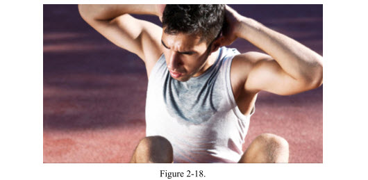 Rotational Hitting Mechanics and Muscles. Spine Rotation during loading ...