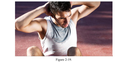 Rotational Hitting Mechanics and Muscles. Spine Rotation during loading ...