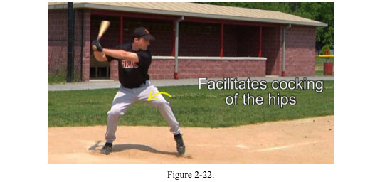 Beginning of the Baseball Timing Step. Load Phase Swing Mechanics and ...