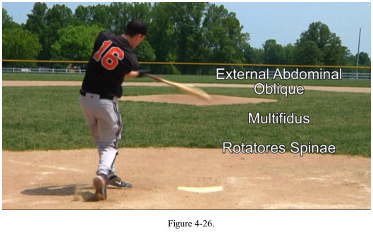 Hitting a Baseball - The Forward Rotation of Spine During the Launch Phase.