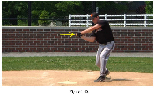 Baseball Launch Phase Muscles: shoulders & arms push and pull on the ...