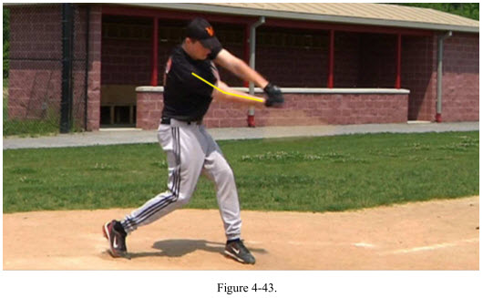 Baseball Launch Phase Muscles: shoulders & arms push and pull on the ...