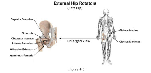 Baseball timing step. How to time a pitch. Launch Phase Mechanics